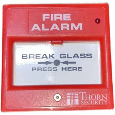 Tyco CP250 514.001.013 手报现货议价