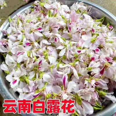 云南野生白露花特产大白花百花菜临沧耿马新鲜野菜农家焯水白鹭花