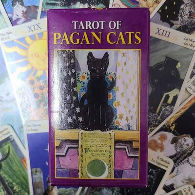 异教猫甲板Tarot Of Pagan Cats Deck Cards Tarot Game英文塔