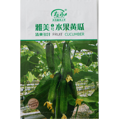 荷兰水果黄瓜种子苗盆秧青瓜小蔬