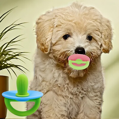 G 78106 Cactus boilable baby teether 仙人掌可水煮婴儿牙胶