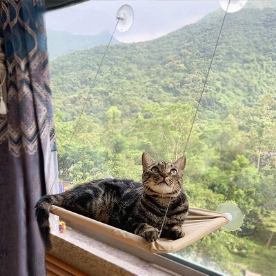 Cat Window PerchEasy to Assemble For Large Cats MultiCat