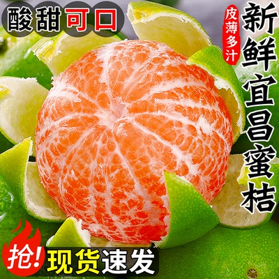 【现摘现发】宜昌蜜橘！酸甜多汁