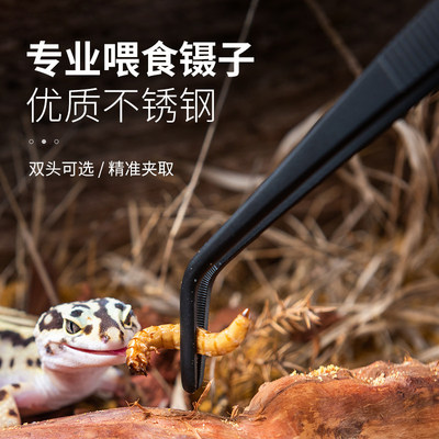 速发SuperRep爬虫不锈钢防水专业喂食镊子爬宠鳄龟乌龟变色龙守宫