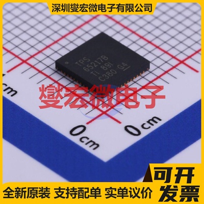 TPS65217BRSLR VQFN-48-EP(6x6) 专业电源管理芯片IC