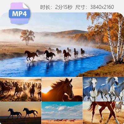 高清万马奔腾草原日落骏马奔跑团队拼搏励志奋斗力量视频素材