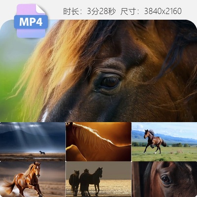 高清奔跑的骏马唯美合集万马奔腾群马黑马白马棕马宣传片视频素材