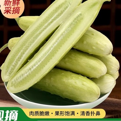 顺丰青瓜蔬菜海阳白玉黄瓜新鲜水果白黄瓜孕妇当季正宗小黄瓜5斤