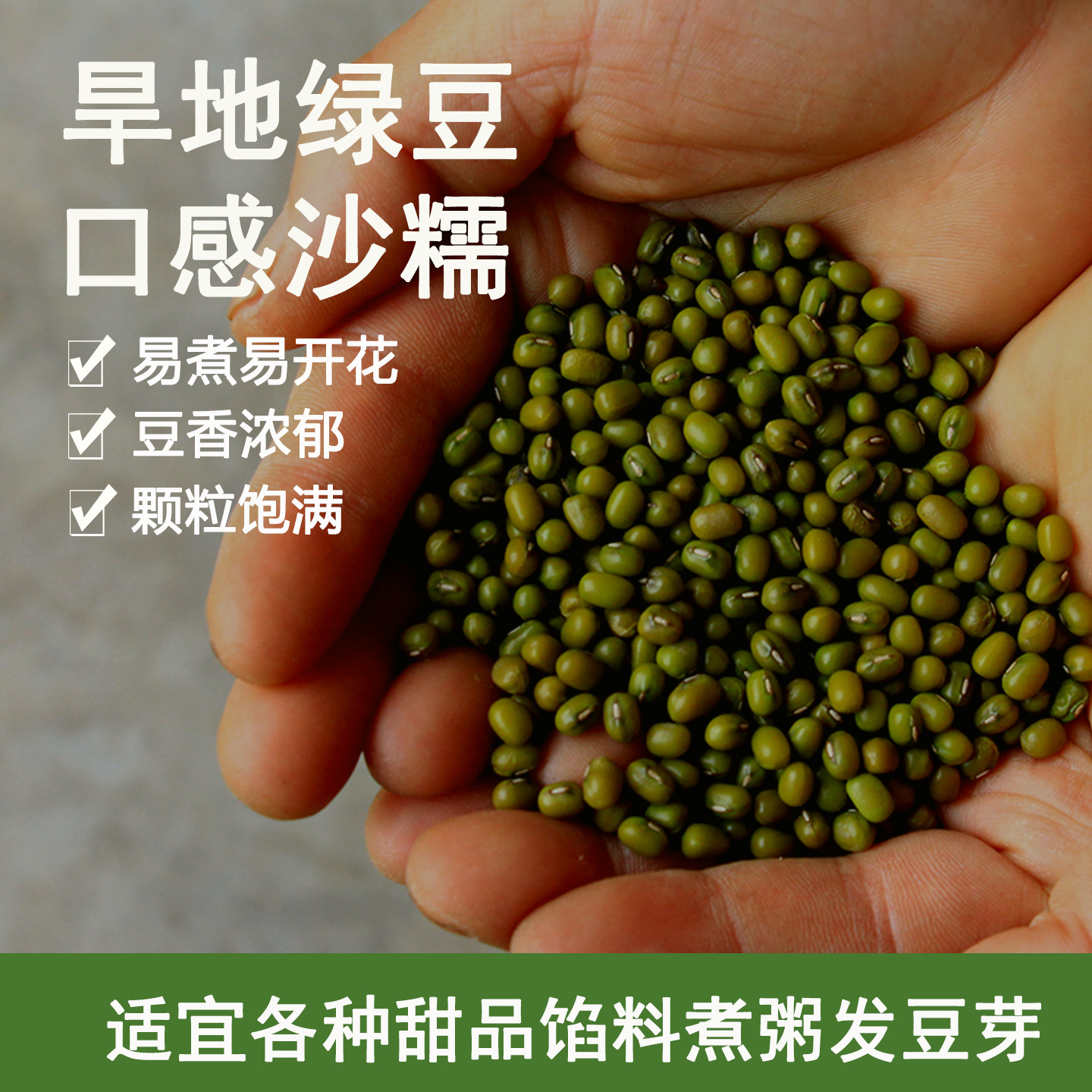 农家绿豆五谷豆类杂粮新鲜可发豆芽小绿豆4斤