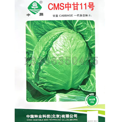 CMS中甘11号甘蓝种子 春播早熟近圆形圆白菜大头菜卷心菜蔬菜种子