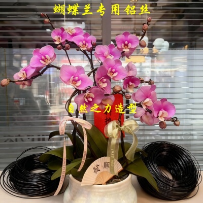 盆景造型专用铝丝铝线蟠扎园艺铁丝花卉罗汉松拉枝固定型器工具