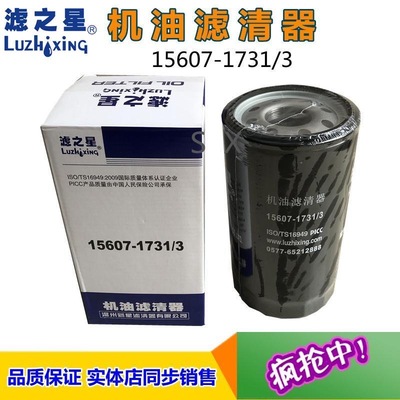 滤之星 机油格 15607-1731/1733 机滤 适配日野汽车 机油滤清器