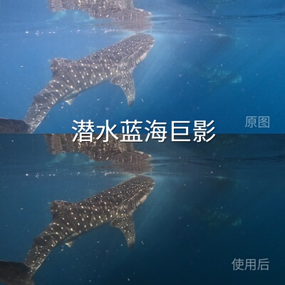 潜水蓝海巨影LUT F-Log2cubeMini5ProD-LogM通用D-Log2O-GoProMax