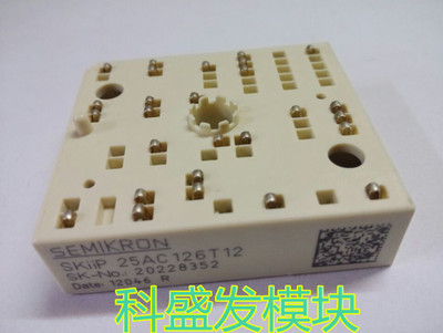 全新正品SKIIP25AC126T12 SKIIP22NAB125T12 SKIIP22NAB12I