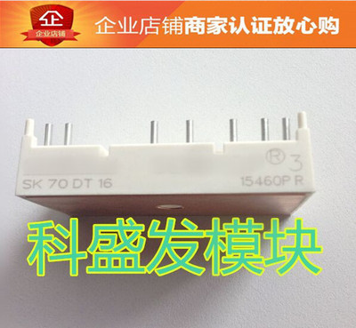 SK70DT16 SK40DT16 SK70DT12 SK40DT12 SKDT60/08