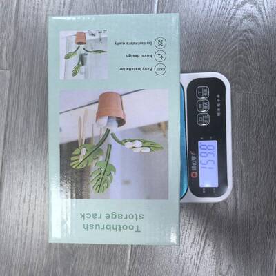 Monstera Coaster Plant镜面龟背竹牙刷架浴室镜子花盆置物架