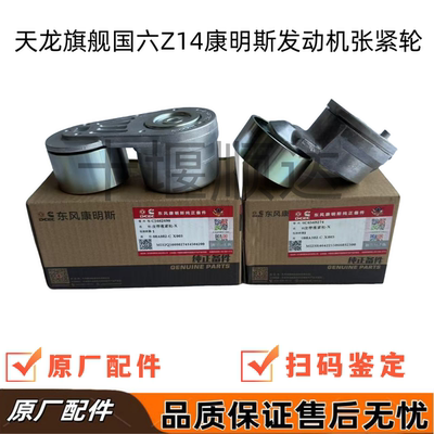 东风天龙旗舰国六发动机张紧轮