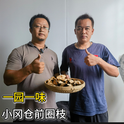 新会圈枝陈皮小冈仓前明哥2018年种植果园东甲母树引种生晒干仓皮