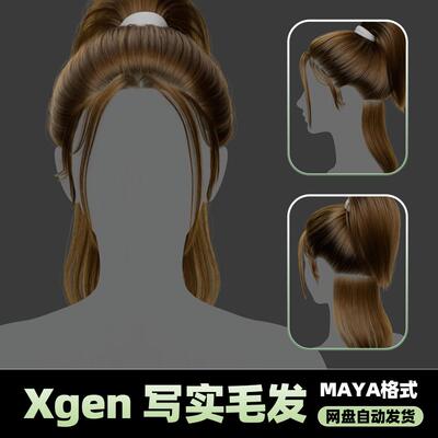 Xgen女性毛发国风现代美女人物角色发型泡面头maya3D模型丸子头