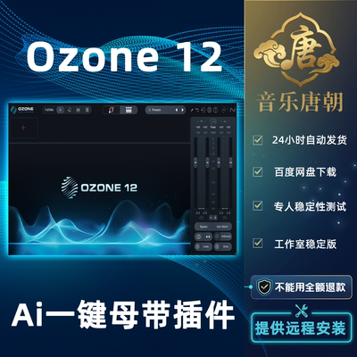 Ozone12臭氧母带插件