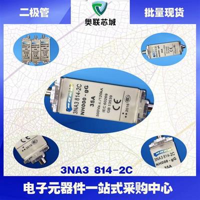 3NA3810-2C 3NA3812-2C 3NA3814-2C 3NA3817-2C 3NA3820-2熔断器