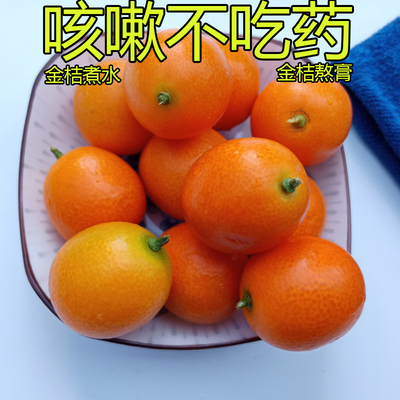 5斤油皮金桔咳嗽痰多熬膏金钱橘