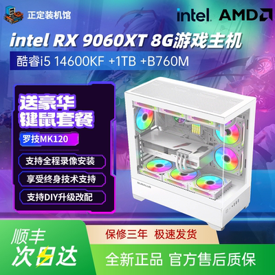 RX9060XT电脑主机245KF/225F三角洲游戏电竞8G台式DIY电脑组装机