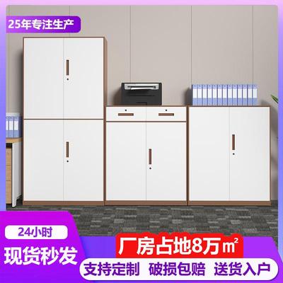 咖白套色文件柜钢制拆装窄边办公文件资料柜带钥匙财务凭证档案收