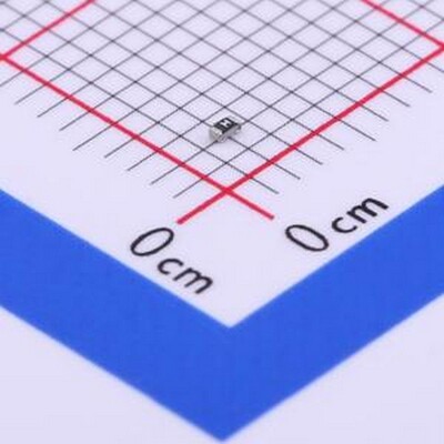 ERBRD1R00X 一次性保险丝 贴片式保险丝 0402