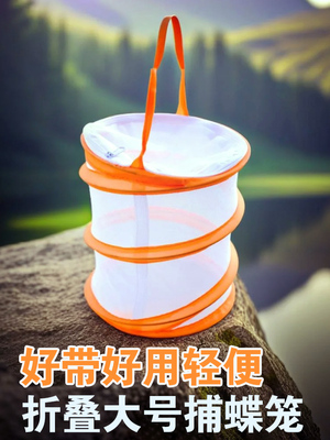 3一6岁儿童益智昆虫萤火虫饲养