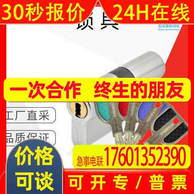 工厂直采 法国 Vachette 锁具 多型号可询 Cylindre RADIALis