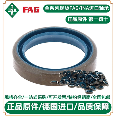 油封 GR12X16X3 原装ina德国GR12*16*3 GR12163 INA密封圈