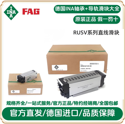 ina导轨 RUSV42126-KS 直线循环滚柱轴承组件 ina导轨滑块