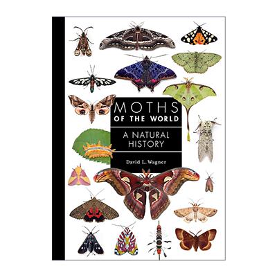 英文原版 Moths of the World 世界飞蛾 自然史 普林斯顿 精装插图指南 David L. Wagner 英文版 进口英语原版书籍