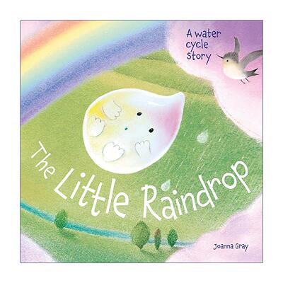 英文原版 The Little Raindrop 小水滴的水循环大冒险故事 儿童自然科普主题绘本图画书 英文版 进口英语原版书籍