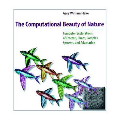 英文原版 The Computational Beauty of Nature 自然的计算之美 计算机对分形 混沌 复杂系统和适应性的探索 Gary William Flake
