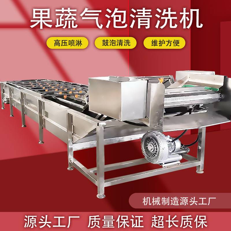 气泡清洗机 果蔬清洗机 大型清洗流水线 叶菜类蔬菜清洗设备