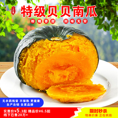 正宗新鲜面粉现摘贝贝南瓜板栗味