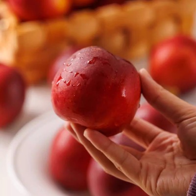 蛋婶儿澳洲黄金蜜桃冬桃新鲜水果现摘现发鲜果甜桃油桃礼盒整箱甜