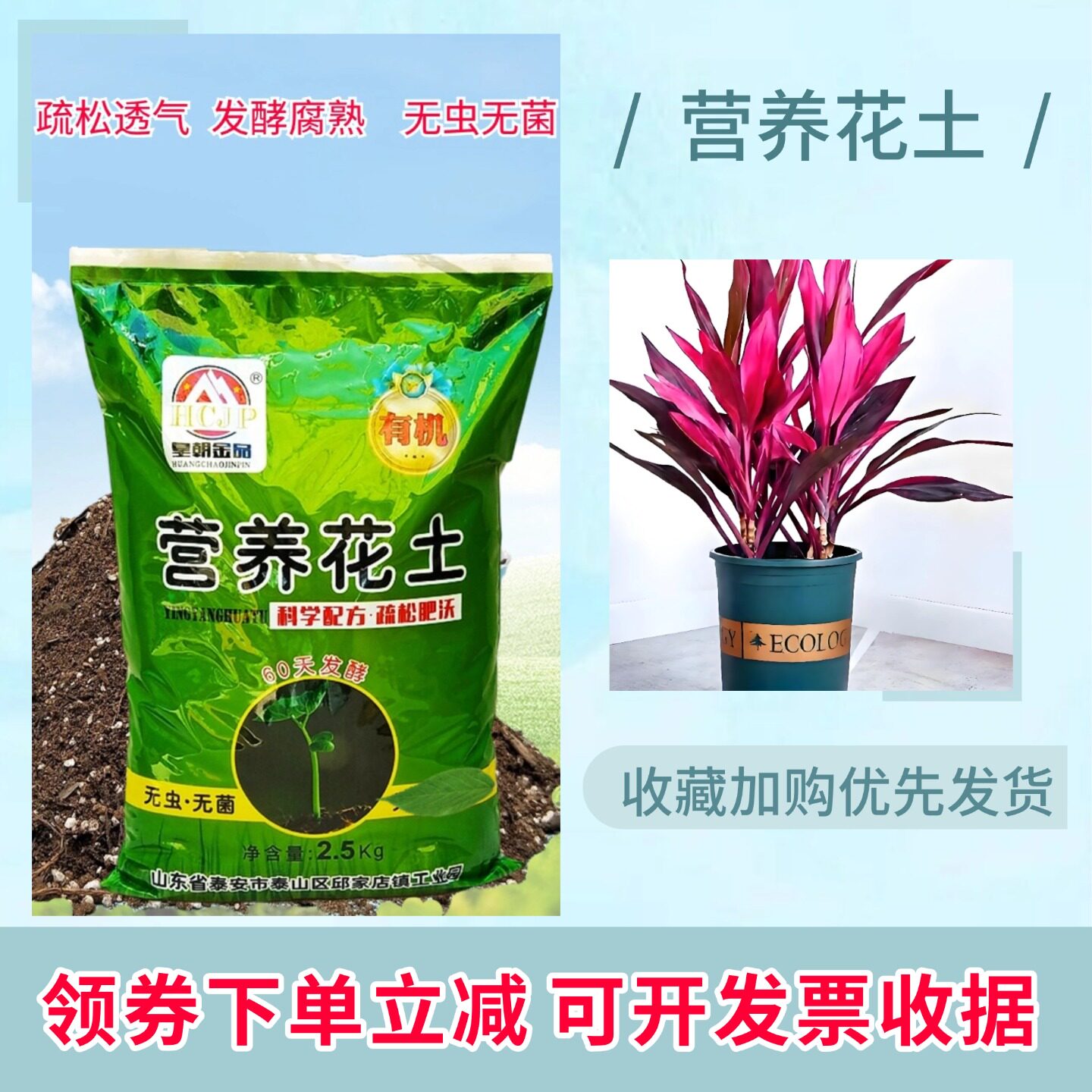红叶朱蕉营养土疏松家用室内庭院红叶铁树观叶盆栽专用翻换种植土