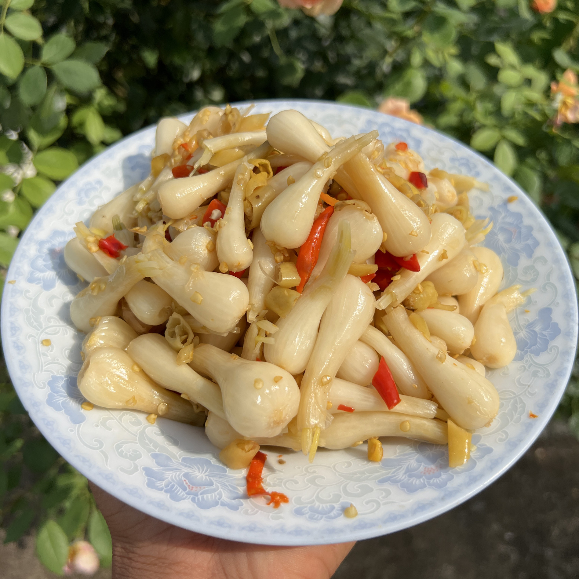 湖南特产农家藠头酸辣茭头薤白叫头剁辣椒新鲜荞头孕妇零食泡菜