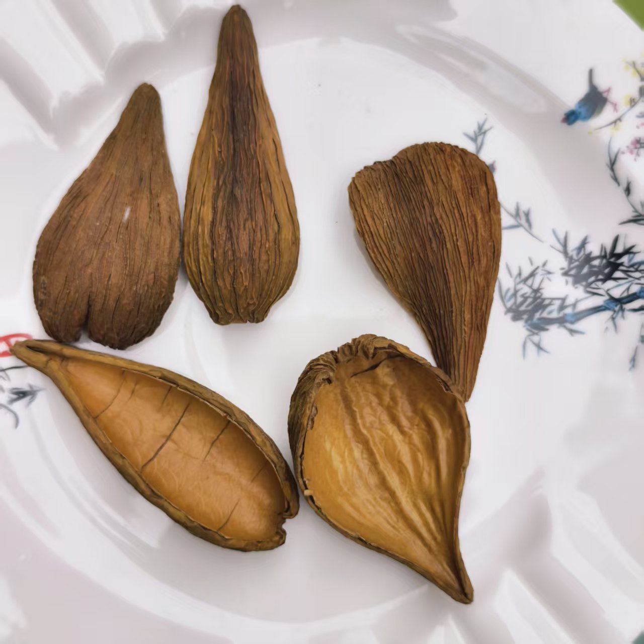 南方老瓜瓢硬壳手工标本相框装饰diy永生干花天然植物果实花材