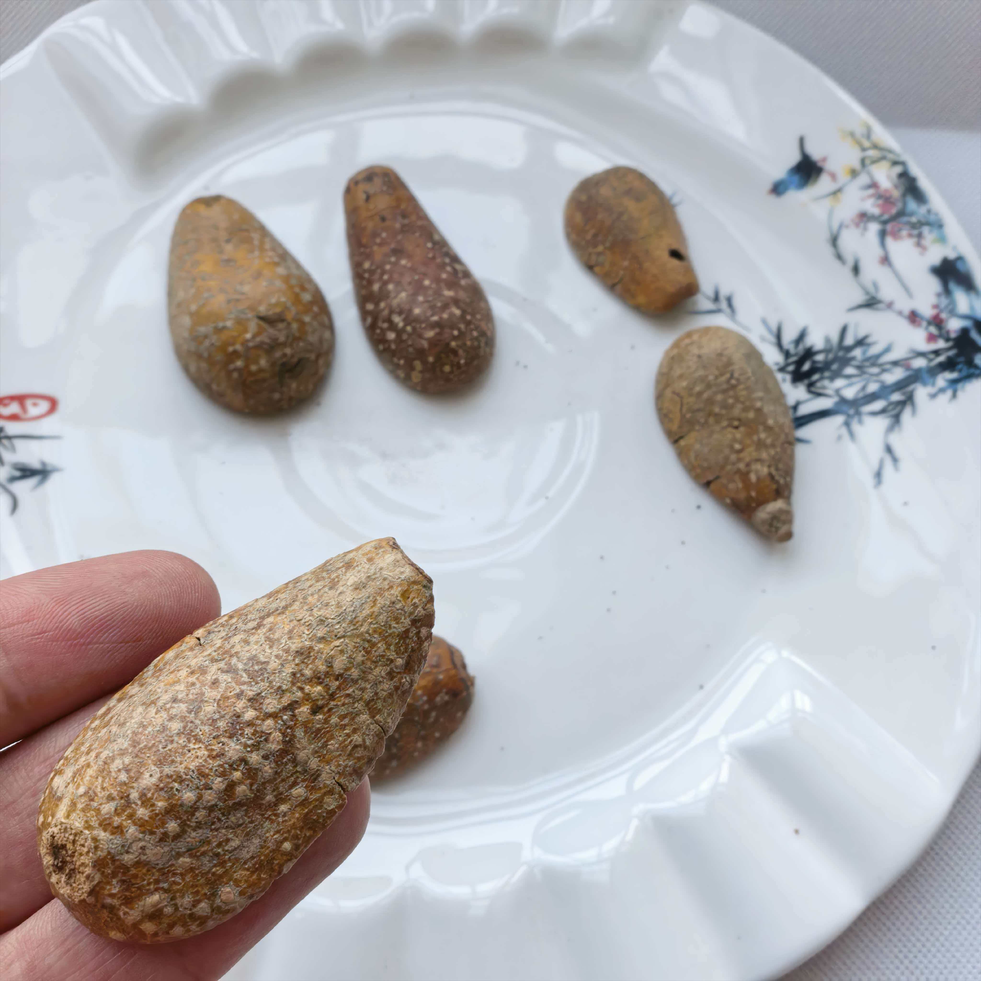 天然植物洋梨果果壳豆荚配件 diy 手工制作材料干果装饰干花道具