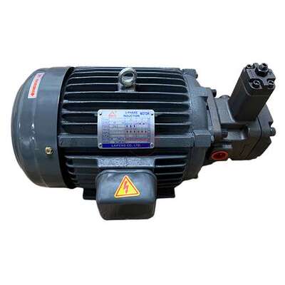 LAIFLUID三相异步电动机3-PHASE MOTOR LAIFENG液压油泵电机马达