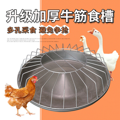 新款喂鸡食槽鸡鸭鹅喂食槽料槽饮水槽粥料槽饲喂槽饲料槽保育食槽