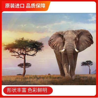 意大利进口拼图非洲象