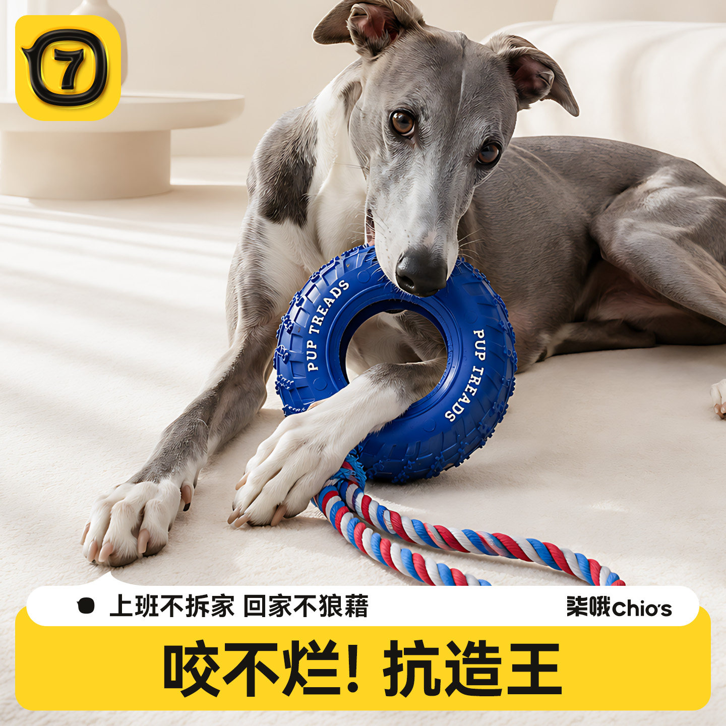 狗狗拔河玩具磨牙洁齿绳结互动玩具中大型犬消耗体力耐咬宠物玩具