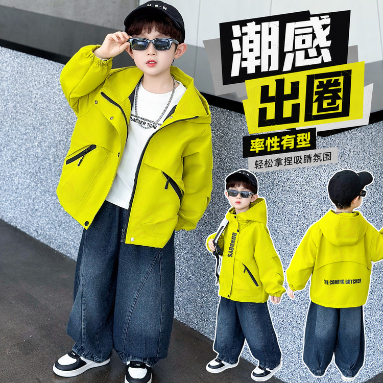 有常规款聚酯纤维春秋男普通外套