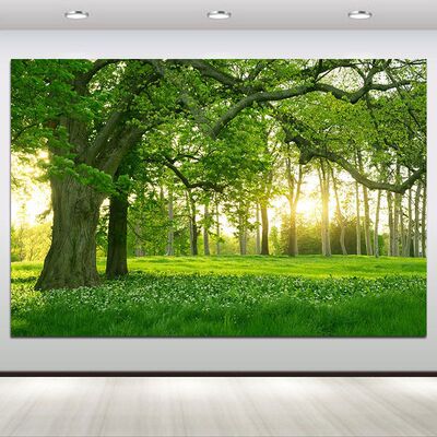 树林风景画树木大树墙贴画阳光森林草地客厅装饰画书房绿色护眼画