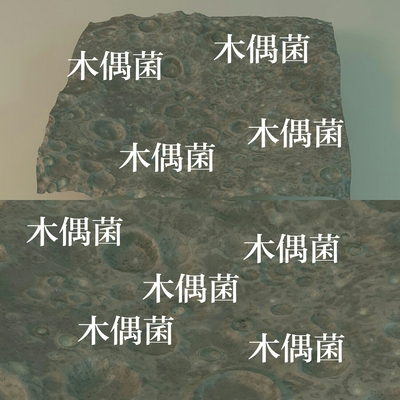 8K地形地貌贴图obj fbx格式模型文件月球外星行星地表 非实物C10